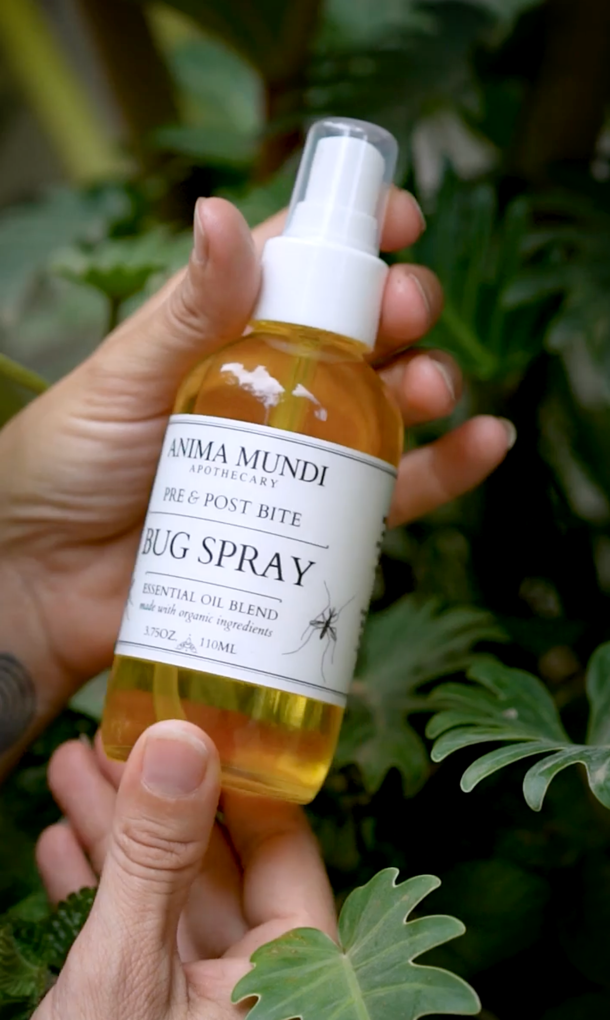 BOTÁNICA BUG SPRAY Feature – Anima Mundi Herbals