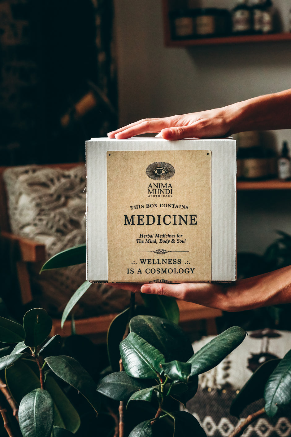 Kits – Anima Mundi Herbals