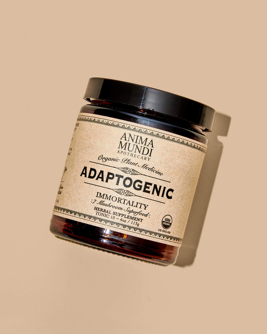 Plant Medicines – Anima Mundi Herbals